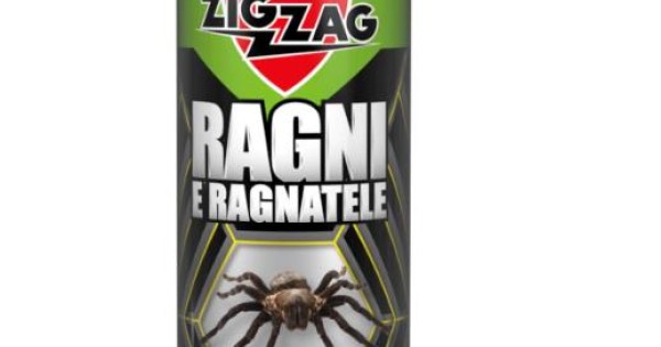 Zig Zag Spray Insecticid Impotriva Paianjenilor 500ml 6/bax ...